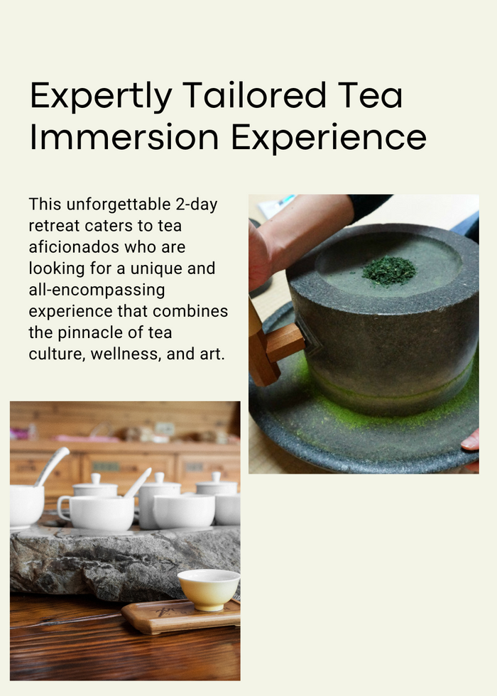 Tea Wellness Retreat in Alaska | Sipping Streams Tea Company